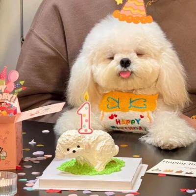 China Adjustable Solid Polyester Pet Birthday Outfit Comfortable Cat Dog Bib Party Hat Cute Bow Halloween Supplies for sale