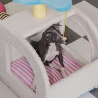 China Detachable Linen Pet House Universal Four Seasons Airplane Cat Bed for Cats Small Dogs Solid Living Suitable Summer Pet Supplies for sale
