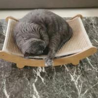 China Luxurious Wooden Cat Tree Sisal Sleeping Bed Multifunctional Kitten Grinding Toys Detachable Wear-Resistant Halloween for sale