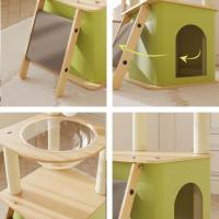 China Luxury Modern Eco-Friendly Plastic Green Cat Tree Tower Jumping Platform Space Capsule Design Hanging Ball Condo Carton for sale