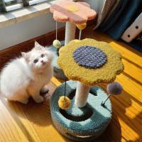 China New Fashion Small Cat Climbing Frame Sisal Cat Scratcher Pet Toy Fun Play Feature Sustainable Carton Packaging Christmas Toy for sale