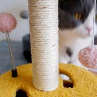 China New Fashion Small Cat Climbing Frame Sisal Cat Scratcher Pet Toy Fun Play Feature Sustainable Carton Packaging Christmas Toy for sale