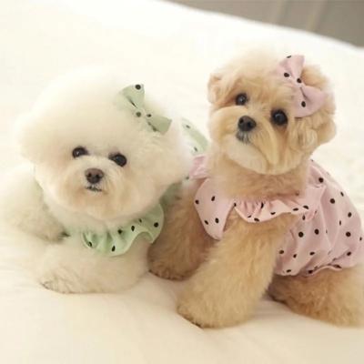China Cool All Seasons Cute Comfortable Polyester Striped Pet Pullover Dress Christmas Bichon Frisee Yorkshire Other Dogs/Cats for sale