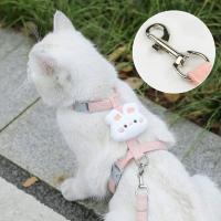 China Dog Leash Chest Strap Vest Type Anti Break off Spring All Seasons Small Medium Cute Halloween for sale