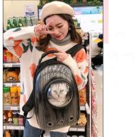 China Large Capacity Nylon PET Cat Backpack with Zipper Closure Fashionable Spacecraft Style Breathable Portable for Outings for sale