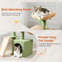 China Cat Tree for Indoor Cats, Sisal Scratching Ramp, Cozy Hammock and Removable Top Bed Perch for Kittens, Green for sale