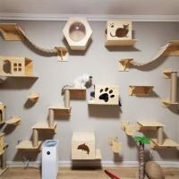 China Solid Wood Wall Mounted Climbing Frame Modern Eco-Friendly Cat Wall Jumping Platform Corner Viewing Platform Cat Bed Hammock for sale