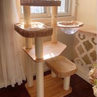 China Luxury Wood & Rattan Space Capsule Cat Scratching Tree Durable & Eco-Friendly for Halloween Decorations for sale