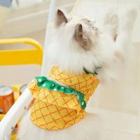 China Spring/Summer Cat Cute Sling Pineapple Style Swimwear Sling Dog Swimming Bikini Pet Dog Clothes Dog Clothes Designer for sale