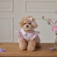 China Pet Princess XS Size Lace Dress for Small Dogs Summer Teddy Bear Dog Clothes with Fly Sleeves for Birthday & Christmas for sale