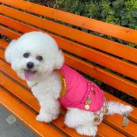China Cute Sleeveless Striped Polyester Vest for Small Dogs Puppies Miniature Pomeranians Soft Lace Machine Washable Autumn Christmas for sale