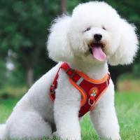 China Reflective & Breathable Dog Harness Leash Set - Adjustable Flannel Chest Harness for Small Dogs (Teddy/Chihuahua) | Pet Supplies for sale