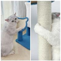 China Luxury Large Cat Tree with Sisal Scratching Column Fat Nest & Villa Jumping Platform for Halloween for sale