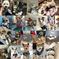 China Summer Striped Cute Dog Shirt Fashion Pet Clothes Breathable Thin Vest Polyester for Cats and Dogs for sale