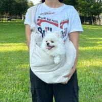 China Comfortable Foldable Lightweight Cotton Modern Pet Puppy Dog Carrier Backpack Zipper Closure Mesh Sling Travel Tote Shoulder Bag for sale