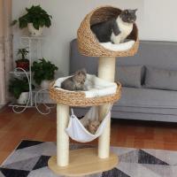 China Eco-friendly Luxury Halloween Cat Scratching Tree Sisal Litter Weaving House Rack Climbing Shelf Picture Toys 4 Levels & Above for sale