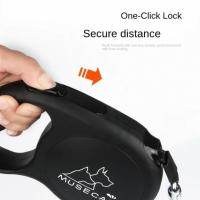 China Large Small Medium Automatic Retractable Dog Leash with Golden Hair Teddy Design for Christmas and Halloween for sale