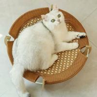 China Modern Rectangle Sisal Cat Sofa Bed Recliner Sofa Comfortable Multi-Functional Removable Washable Pet Chair Carton for sale