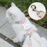 China All Seasons Cute Halloween Pet Chest Strap Vest Anti-Break off Dog Leash for Pet Clothes for sale