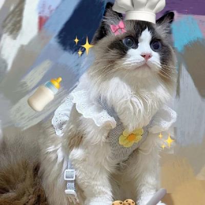 China Cat DogSkirt Design Anti-Escape Harness Spring-Summer Collection Plastic Pet Traction Rope for Cats Dogs Birthday Christmas for sale