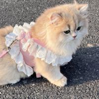 China Cat DogSkirt Design Anti-Escape Harness Spring-Summer Collection Plastic Pet Traction Rope for Cats Dogs Birthday Christmas for sale