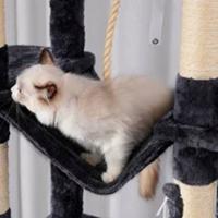 China Luxury Indoor Cat Tree with Multi-Level Wood Tower 2 Widened Plush Perches & Halloween Cat Condo Scratching Board Modern Style for sale