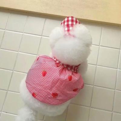 China Summer Lightweight Puppy Blue Plaid Shirt Suspender for Princess Puppies Breathable Dress for Christmas Birthday Cute Teddy for sale