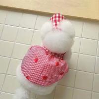 China Pretty Cute Princess Teddy Dog Vest Puppy Blue Striped Lightweight All Seasons Breathable Polyester Machine Washable Holiday for sale