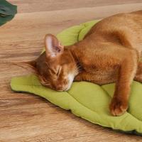 China Round Waterproof Dog Sleeping Pad Travel Washable Couch Cover Furniture Puppy Mat Reversible Pet Bed Anti-Slip Home Decor for sale