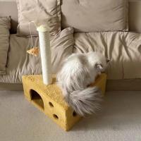 China Cheese cat Climbing Frame Small cat Drilling Hole Scratch Resistant No Debris Falling Off Sisal cat Scratching Post for sale