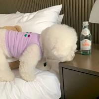 China Cute Purple Tulip Pet Sling Summer Cartoon Dog Clothes Teddy Bear Embroidered Vest Bichon Frise Short XXL Striped Cotton for sale