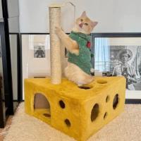 China Cat Tree Tower Cheese Shape Design Detachable Fabric Machine Washable Pet Climbing Tree Tower Sisal Scratching Post Furniture for sale
