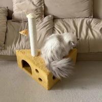 China Cat Tree Tower Cheese Shape Design Detachable Fabric Machine Washable Pet Climbing Tree Tower Sisal Scratching Post Furniture for sale