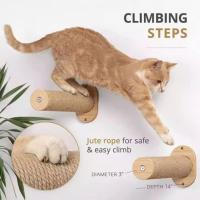 China Multilayer Platform Wall Mounted Cat Climber Tree Post Modern Halloween Cat Climbing Shelves Interactive Toy Carton Packaging for sale