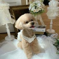 China Bichon White Lace Camisole Summer Teddy Dress XS-XL Floral Skirt Cute Halloween Birthday Vest for Dogs & Cats for sale