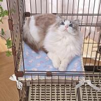 China Summer Cooling Cat Bed Pad - Waterproof Pet Mat, Non-Shedding Ice Gel Cushion for Cage, All-Season Anti-Slip Dog Bed Cool Mat for sale