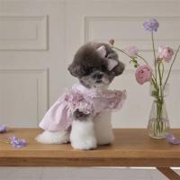 China XS Size Pet Princess Lace Dress for Small Dogs Teddy Bear Summer Coat Flying Sleeves for Cats' Birthday Christmas Celebration for sale