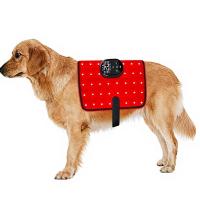 China Pet Red Light Therapy Device Promoting Pet Health for Various Animals Featuring 24 Months Shelf Life Improving of Life for sale