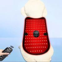 China Various Animals Pet Health Pet Care Pet Red Light Therapy Device Promoting Faster Recovery and Wellness Maintenance for sale
