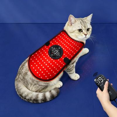China Improved Mobility Animal Health Care Product Developed for Supporting Joint Flexibility and Reducing Discomfort in Animals for sale