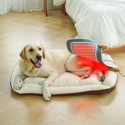 China Consult A Veterinarian Before Pet Health Solution Offering Joint Support and 24 Months Shelf Life Promoting Pet Vitality for sale