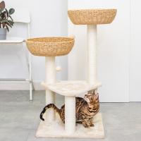 China Customize Design Cat Scratching Tree Easy to Clean Interactive Cat Playground Great Choice for Pet Stores and Cat Cafes for sale