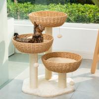 China Customize Design Cat Scratching Tree Easy to Clean Interactive Cat Playground Great Choice for Pet Stores and Cat Cafes for sale