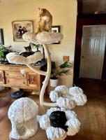 China Wood Cat Tree Customize Design Yes Cat Tree Model Cat Tree Tailored for Retail Chains Seeking Unique Cat Furniture Items for sale