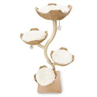 China Beige Cat Climbing Tree Easytoclean Practical Cat Play Equipment Enhances Physical Activity and Mental Stimulation for sale