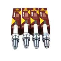 China PLFER7A8EG 94833 Auto Parts Spark Plug 06K905601B Automotive Spark Plug for sale