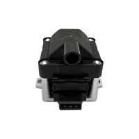 China VW Ignition Coil 6N0905104 with 2 Years Warranty 100% Tested and 100% New for Beetle Tiguan Golf Jetta Polo for sale