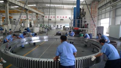 China Large Size Bearing/Turntable Bearing/Internal Gear Slewing Ring Bearing/Yrt Bearing/Cross Roller Bearin for sale