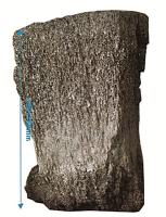 China C SiC Black Silicon Carbide Industrial Abrasives OHSAS18001 Approval for sale