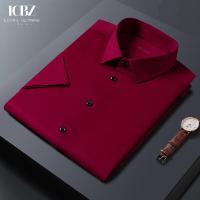 China Custom OEM 100% Cotton Non Iron Long Sleeve Dress Shirts for Men Sizes S to 10XL for sale